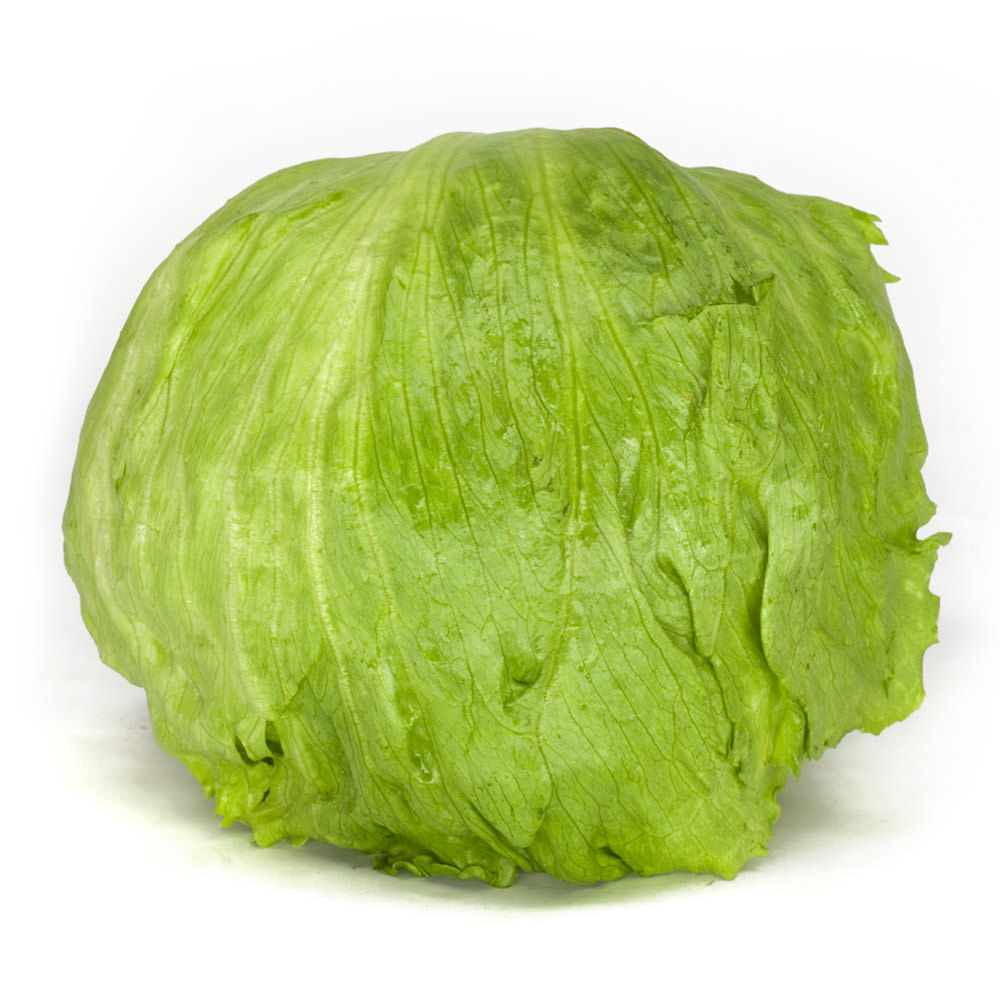 Laitue Iceberg - Andy Boy